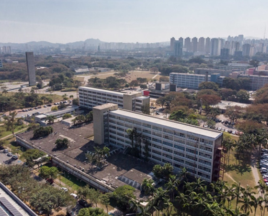 Usp Invalida Matrícula De Seis Alunos Por Fraude Em Cotas Raciais Eles