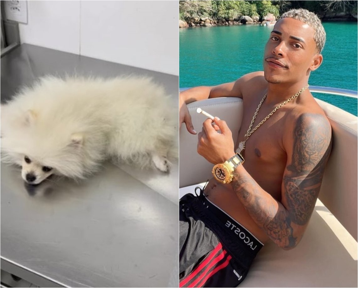 “Zé Doguinha”: após comer maconha, cão de Mc Poze passa mal | Aratu On ... “Zé Doguinha”: após comer maconha, cão de Mc Poze passa mal | Aratu On ...